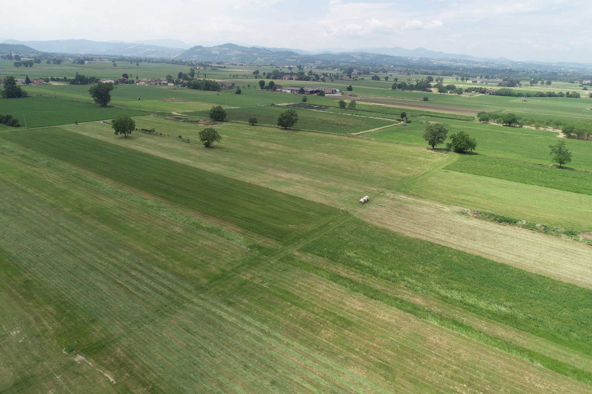 Tutela dei paesaggi storici: dossier sulle praterie del Parmigiano Reggiano